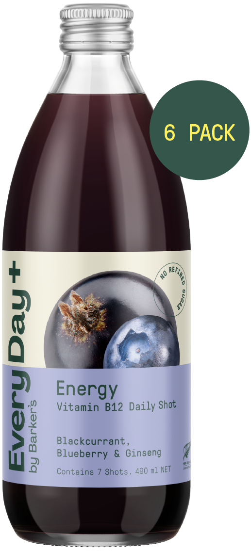 Blackcurrant, Blueberry & Ginseng Energy Daily Shot Multipack – Barker ...